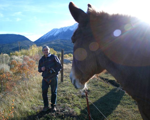 Autumn photo trip from Lone Pine to Bishop California, Oct. 27, 2010 ...