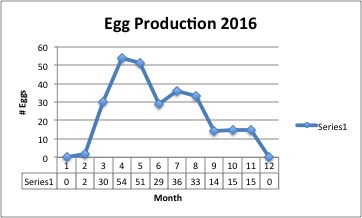 Egg production on our urban “farmlet” over time | Lou Murray's Green World